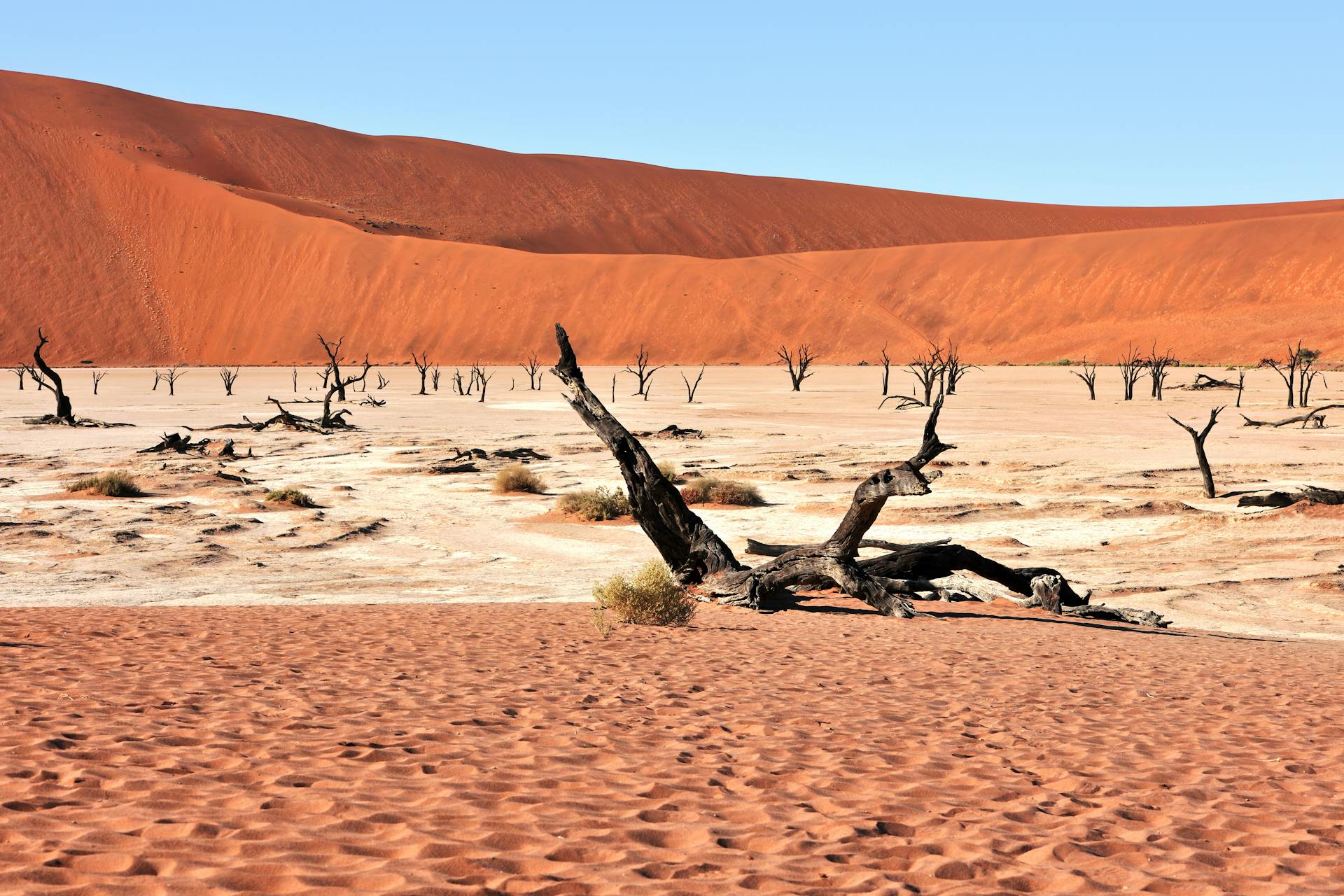 Sossusvlei & Deadvlei Tour | Dune 45, Big Daddy Hike